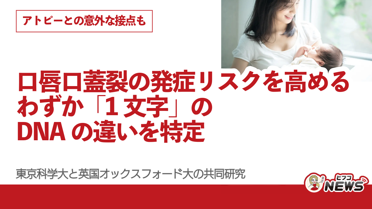 口唇口蓋裂の発症リスクを高める わずか「1文字」のDNAの違いを特定、アトピーとの意外な接点も、東京科学大と英国オックスフォード大の共同研究 | ヒフコNEWS
